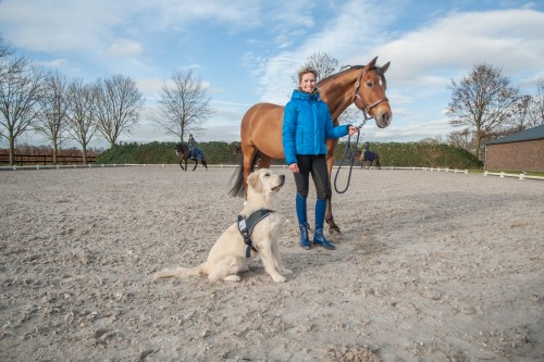 De Hoenderloo Groep en Hulphond Nederland baanbrekend in kindertherapie ...