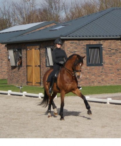 Even voorstellen…………Anky’s stalamazone Twanny Smit - Nieuwsarchief
